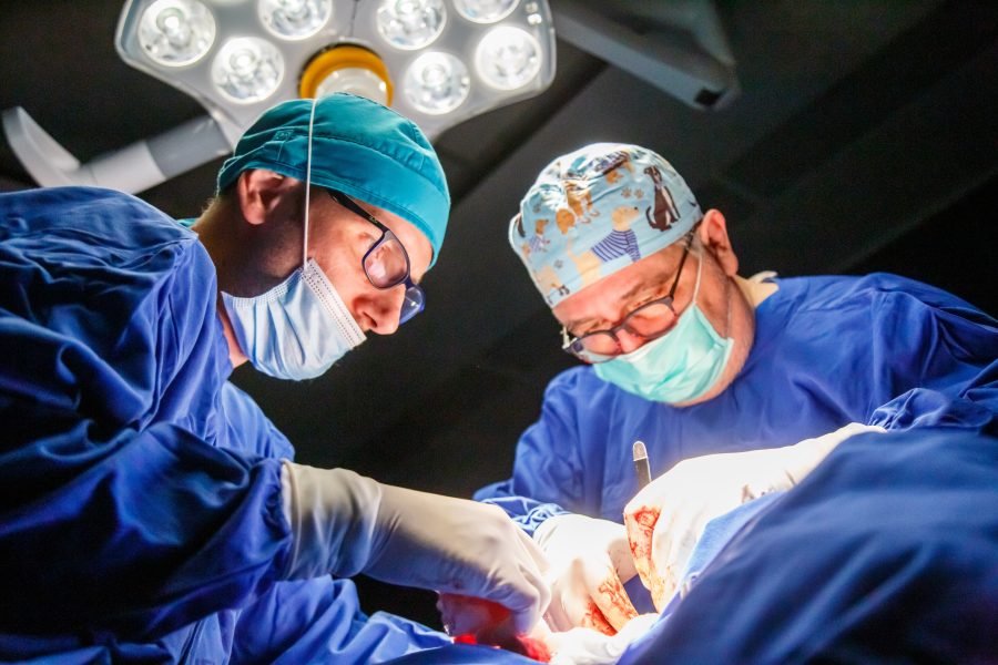 Vesti/Edukacija - New Hospital