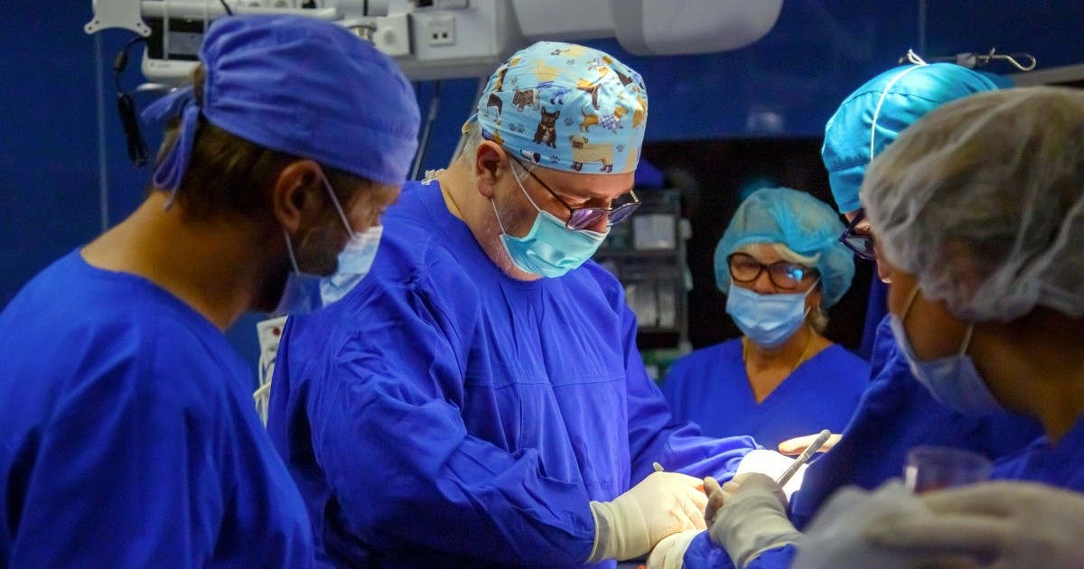 Grudna hirurgija u vrhunskim uslovima - New Hospital